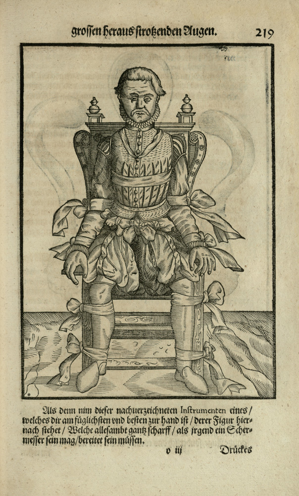 Seeing Is Believing: Ophthalmology In The Renaissance Era – Fugitive ...